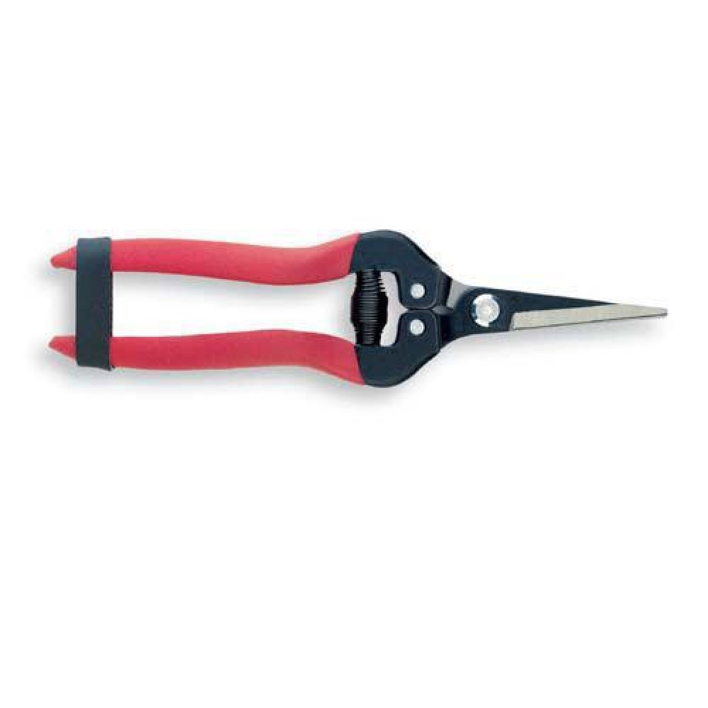 Wylaco Supply | Corona Clippers AG 4930 LONG STRAIGHT SNIPS