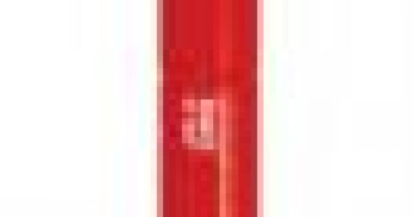 Wylaco Supply | Corona Clippers GT 3050 EXTENDED HANDLE RAKE